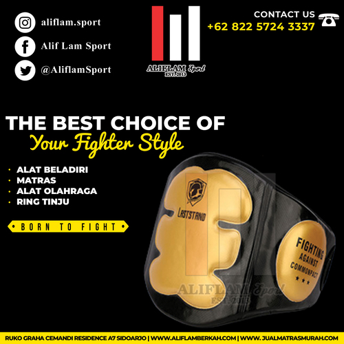 Belly Pad Muay Thai Boxing MMA (GOLD BLACK) | ALIFLAM Sport