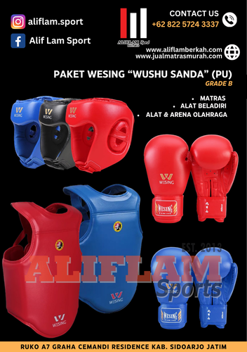 Body Protector Wushu Sanda “WESING PU Leather” (WUSHU SANDA ARMOUR SET ...